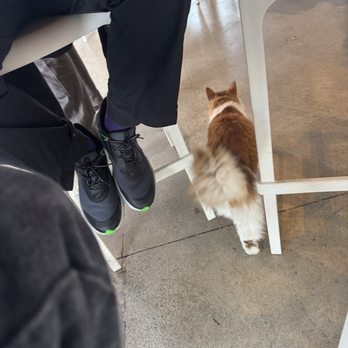 PROJECT 9 BREWING - Updated December 2025 - 77 Photos & 48 Reviews ...