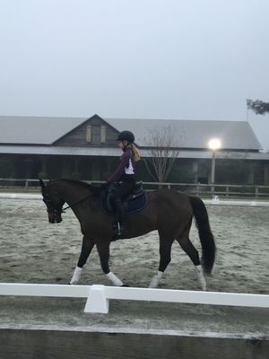 THE STABLES AT FREDERICA - Updated February 2025 - 20 Photos & 12 ...