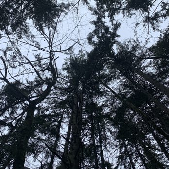 HENDRICKS PARK - Updated December 2025 - 116 Photos & 38 Reviews ...