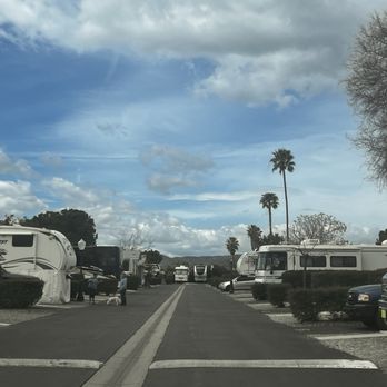 GOLDEN VILLAGE PALMS RV RESORT - Updated July 2025 - 176 Photos & 96 ...