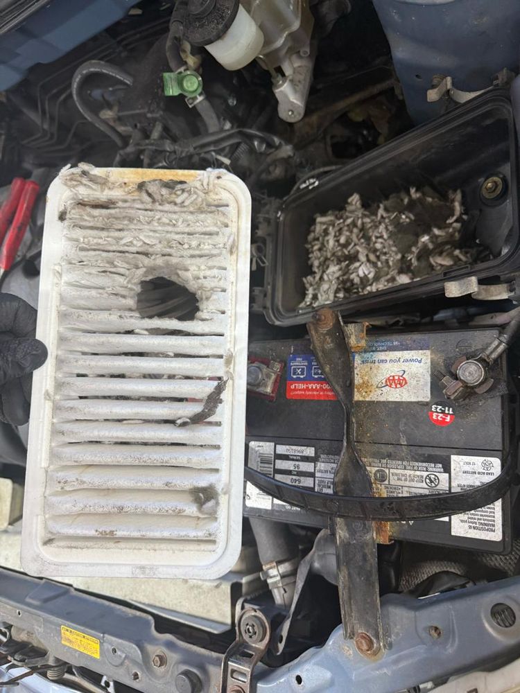 GERBER’S AUTO SERVICES - Updated December 2025 - 19 Photos & 69 Reviews ...