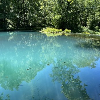 MARAMEC SPRING PARK - Updated December 2025 - 93 Photos & 23 Reviews ...