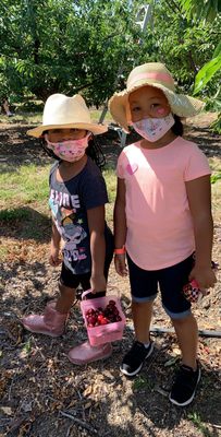 FREITAS CHERRY RANCH - Updated May 2024 - 39 Photos & 47 Reviews - 555 ...