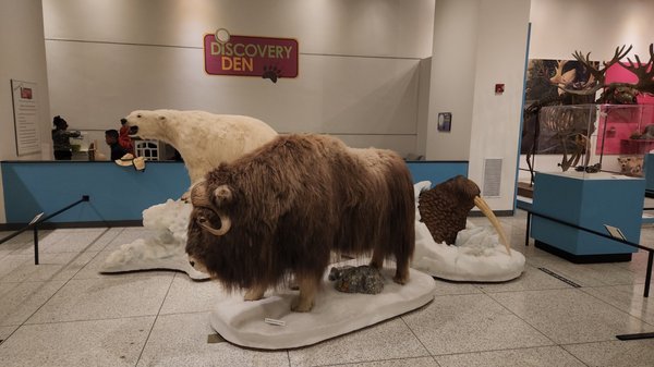 NEW JERSEY STATE MUSEUM - Updated July 2024 - 99 Photos & 27 Reviews ...