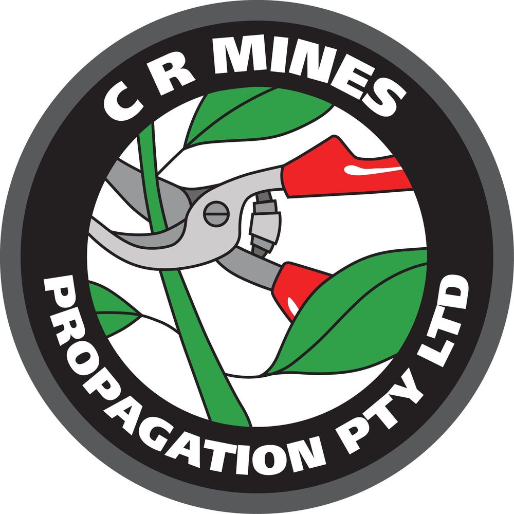 CR MINES PROPAGATION - 212 Rosia Rd, Park Ridge Queensland, Australia ...