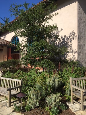 HARRISON MEMORIAL PUBLIC LIBRARY - Updated December 2025 - 38 Photos ...