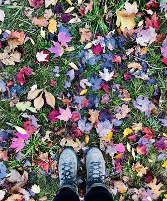 MURPHIN RIDGE INN - Updated August 2025 - 27 Photos - 750 Murphin Ridge ...