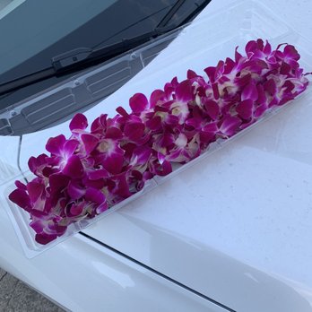 HAYWARD FLOWERS - Updated January 2025 - 334 Photos & 85 Reviews ...