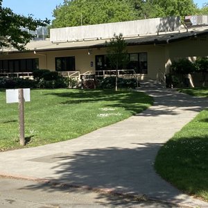 MICKE GROVE PARK - 116 Photos & 50 Reviews - Parks - 11793 N Micke ...