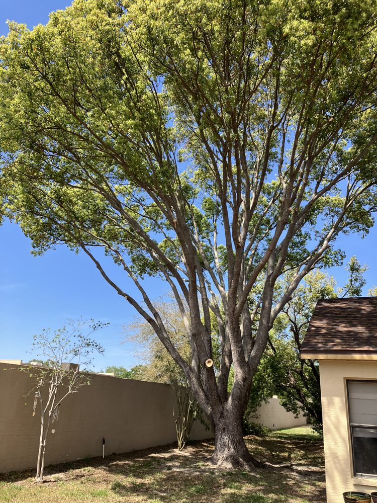 JM TREES AND HAULING - Updated September 2025 - Request a Quote - 23 ...