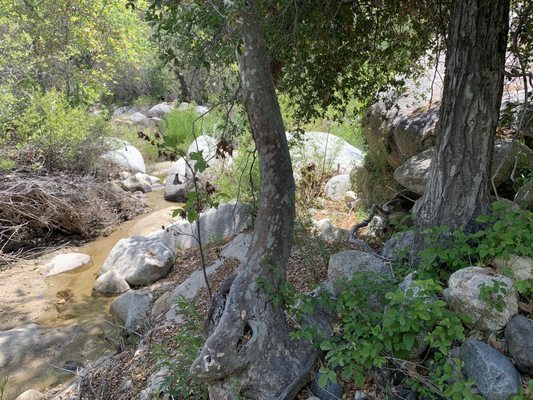 DRIPPING SPRINGS CAMPGROUND - 53 Photos & 38 Reviews - Campgrounds ...