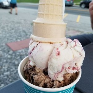 THE MOSQUITO - 21 Photos & 62 Reviews - 1333 Roosevelt Trl, Raymond ...