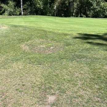 DEEP CLIFF GOLF COURSE - Updated December 2025 - 91 Photos & 168 ...