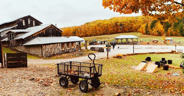 POND HILL FARM - 397 Photos & 119 Reviews - 5699 S Lake Shore Dr ...