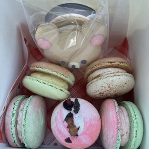 HONEY & BUTTER MACARONS - 4434 Photos & 1391 Reviews - 633 Spectrum ...