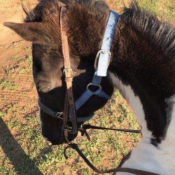 RIVER RANCH TEXAS HORSE PARK - Updated July 2025 - 71 Photos & 26 ...