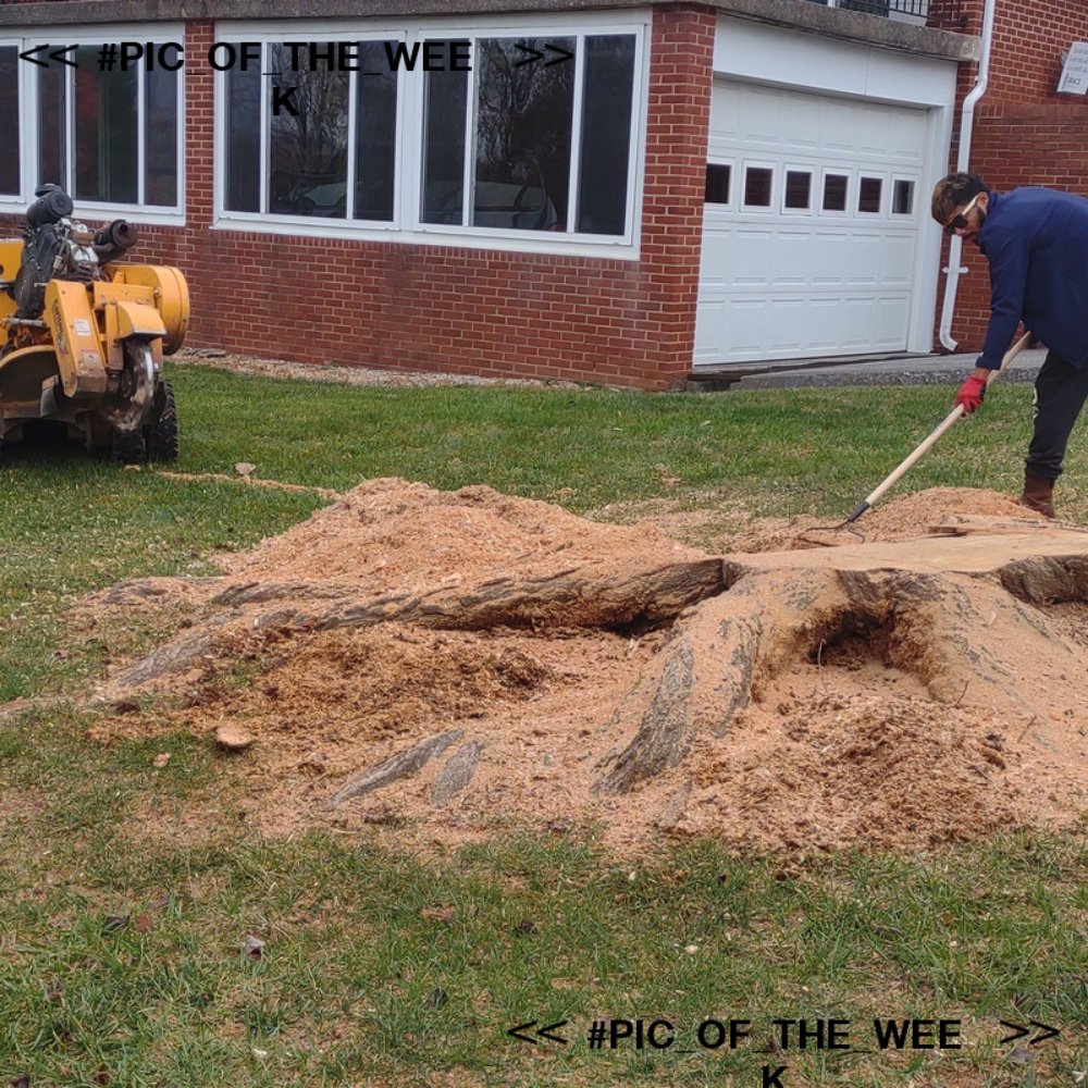 WORK HARD PLAY HARD TREE AND LANDSCAPING SERVICES - Updated July 2025 ...