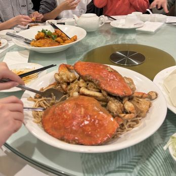 EXCELLENT CUISINE - Updated April 2025 - 528 Photos & 198 Reviews ...