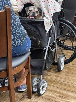 PARADISE BUFFET - Updated December 2025 - 70 Photos & 126 Reviews ...