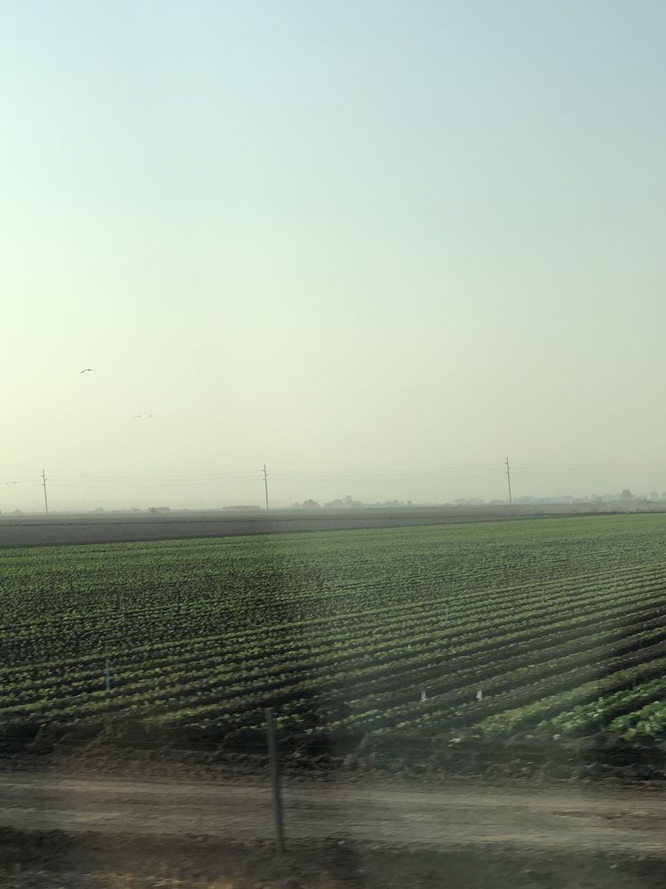 THE CITY SEELEY - Updated Jun 2024 - 11 Photos - 1801 Park St, Seeley ...