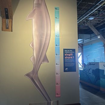 SEATTLE AQUARIUM - Updated August 2024 - 3970 Photos & 1334 Reviews ...