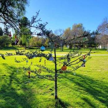 EL DORADO EAST REGIONAL PARK - Updated February 2025 - 566 Photos & 202 ...