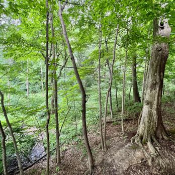 SPRING HOUSE INN - Updated October 2025 - 36 Photos & 65 Reviews - 303 ...