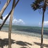 CHAMICOS - Updated October 2025 - 150 Photos & 74 Reviews - Soliman Bay ...