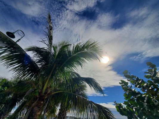 PHIL FOSTER PARK - Updated November 2024 - 108 Photos & 27 Reviews ...