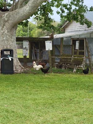 WUNDERLICH FARM AND HISTORIC KLEIN - Updated January 2026 - 30 Photos ...