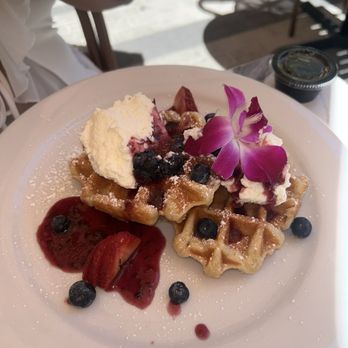 SOLA - Updated January 2026 - 637 Photos & 240 Reviews - 1000 Collins ...