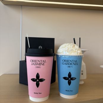 MOLLY TEA - Updated June 2025 - 60 Photos & 24 Reviews - 505 Highway 7 ...
