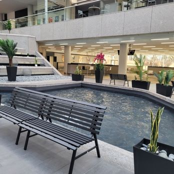 BLOOMFIELD PUBLIC LIBRARY ATRIUM LIBRARY - Updated August 2025 - 15 ...