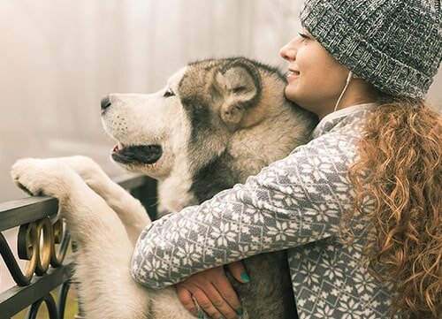 GROESBECK ANIMAL HOSPITAL - Updated September 2024 - 23 Photos & 20 ...