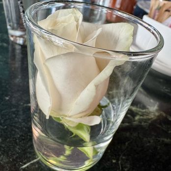 VIRGINIA INN - Updated January 2026 - 370 Photos & 479 Reviews - 1937 ...