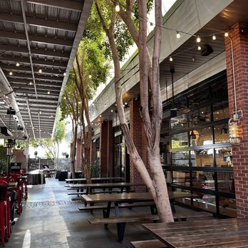 CULINARY DROPOUT - Updated April 2025 - 1344 Photos & 1261 Reviews ...