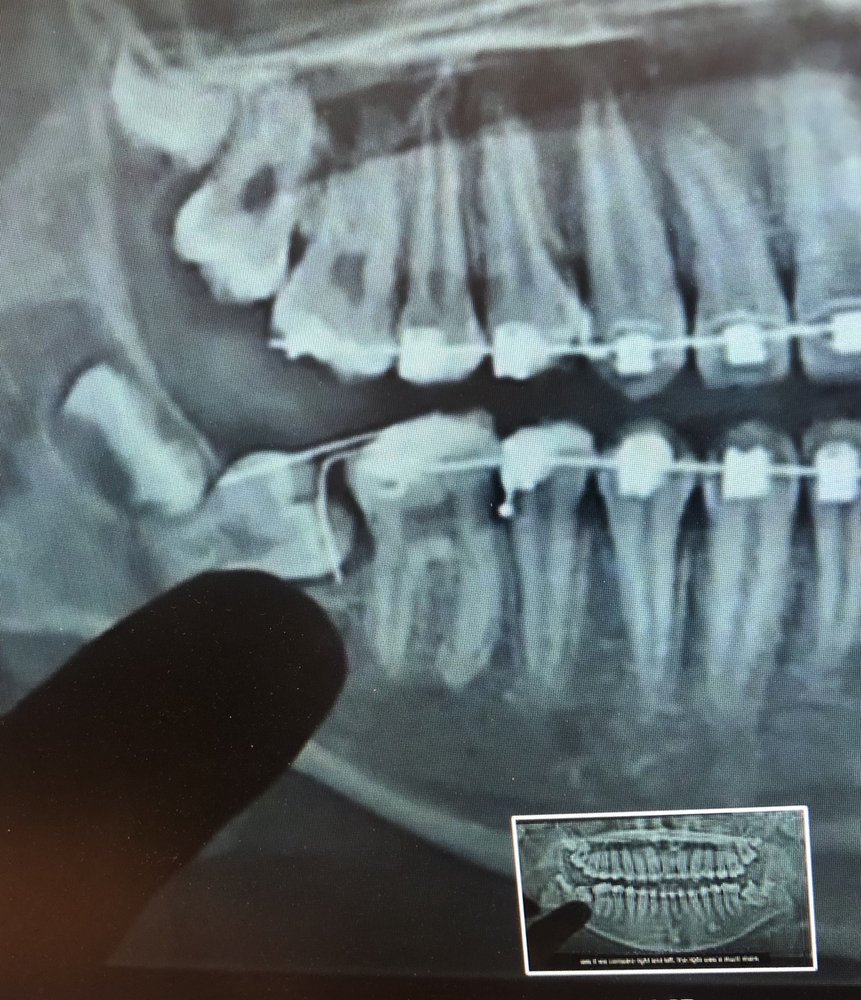 KENNETH A ALONGI DMD, PC - Updated August 2024 - 15 Photos - 602 Davis ...