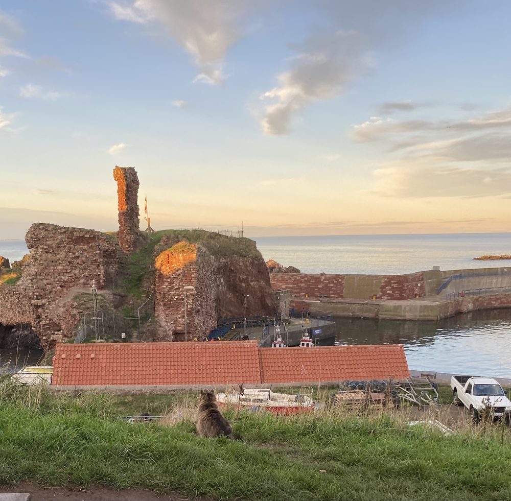 DUNBAR LEISURE POOL - Updated July 2025 - Castle Park, Dunbar, East ...