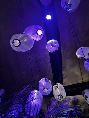 PAPERFISH SUSHI - Updated November 2025 - 1762 Photos & 893 Reviews ...