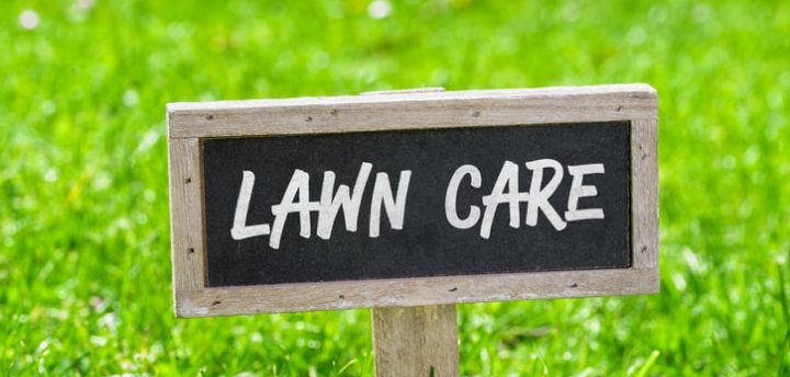 LABRADOR LAWN CARE AND MULCH - Updated November 2025 - 18 Photos ...