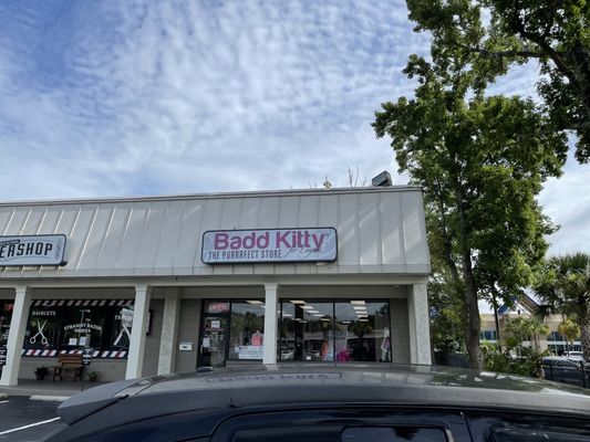 BADD KITTY - Updated July 2025 - 26 Photos & 18 Reviews - 2274 Savannah ...