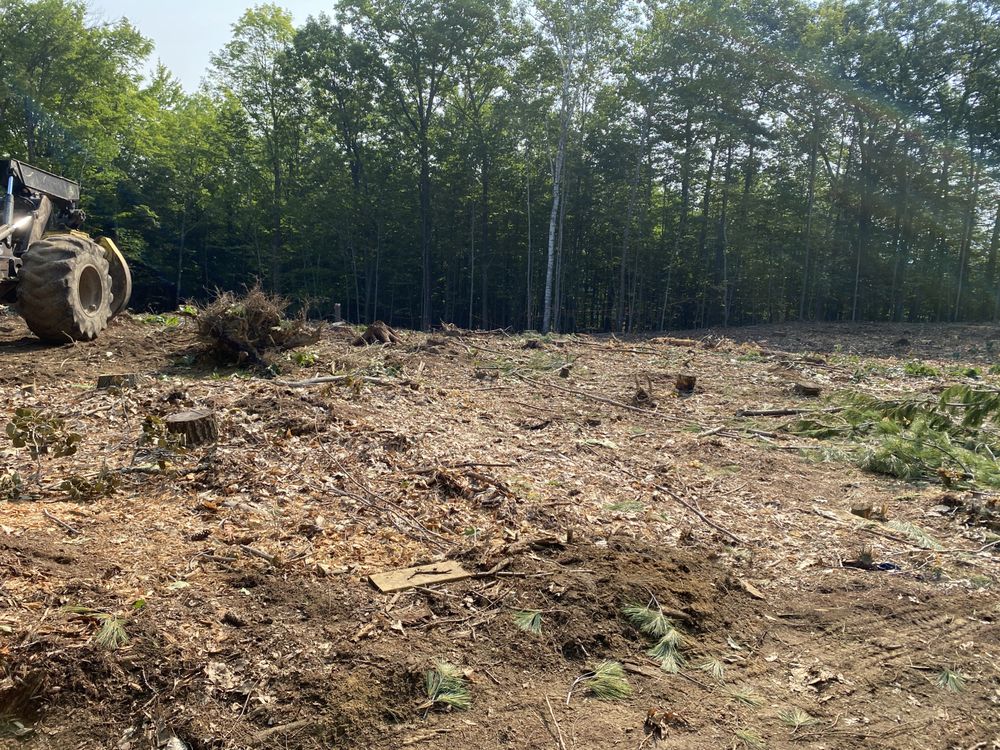 VARNEY & SONS LOGGING - Updated December 2025 - Effingham, New ...