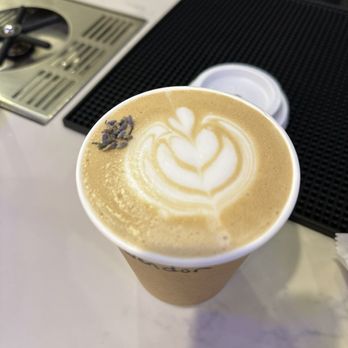 JAVA OWL COFFEE HOUSE - Updated February 2025 - 243 Photos & 214 ...