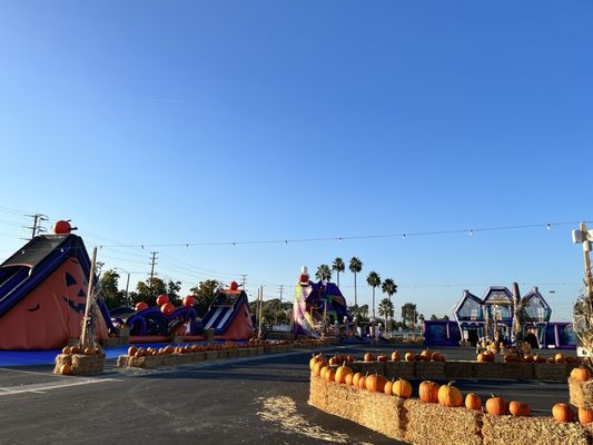 SEASONAL ADVENTURES PUMPKIN PATCH AND CHRISTMAS TREES - Updated October ...
