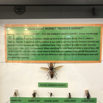 BUG & REPTILE MUSEUM - Updated December 2025 - 76 Photos & 43 Reviews ...