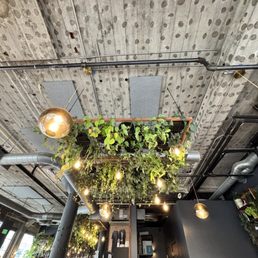 JOJO - Updated January 2026 - 490 Photos & 315 Reviews - 902 NW 13th ...