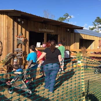 AMAZING GRACE FAMILY FARM - Updated February 2025 - 164 Photos & 41 ...