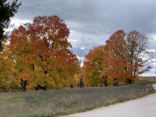 OFFIELD FAMILY NATURE PRESERVE - Updated August 2024 - 518 Quick Rd ...