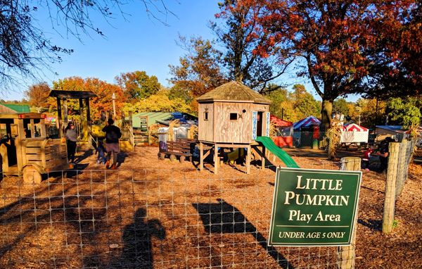 LINVILLA ORCHARDS - 918 Photos & 406 Reviews - Farmers Market - 137 W ...