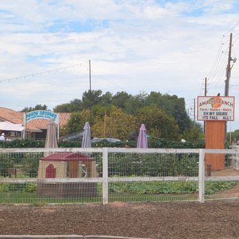 AMADIO RANCH FARM STORE - Updated December 2025 - 268 Photos & 178 ...